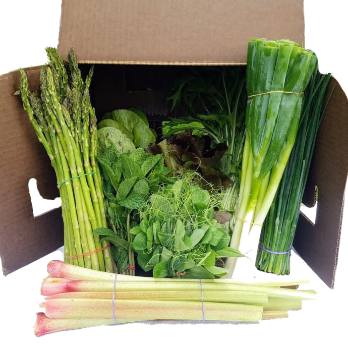 2023 HAFA Spring CSA | Hmong American Farmers Association