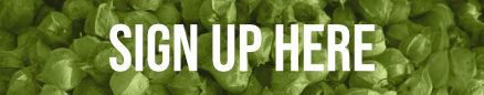 2023 HAFA Spring CSA | Hmong American Farmers Association