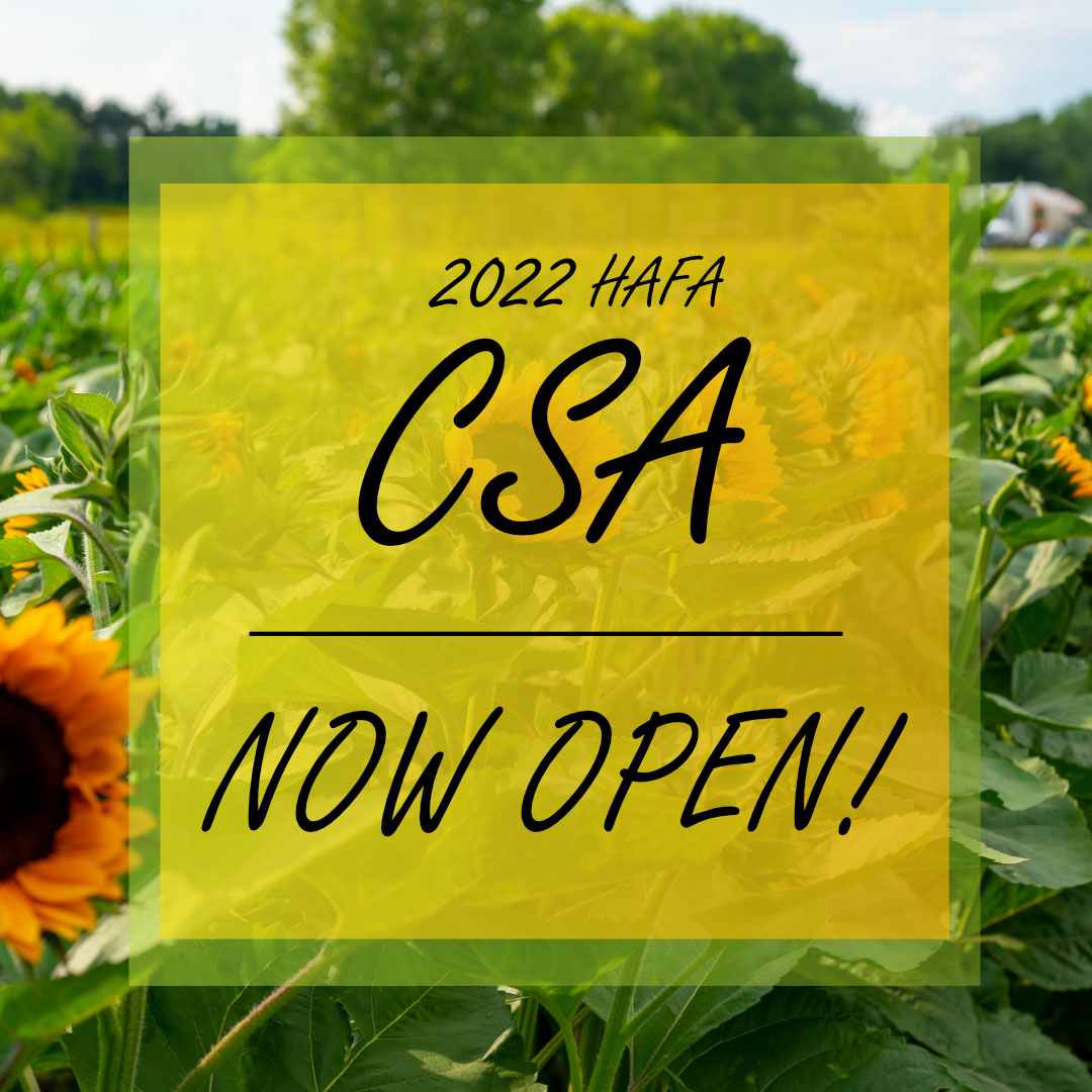 Hmong American Farmers Association | Growing community wealth since 2011